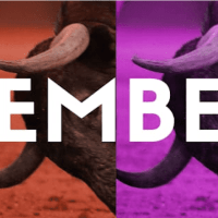 carteles – EMBESTIDAS