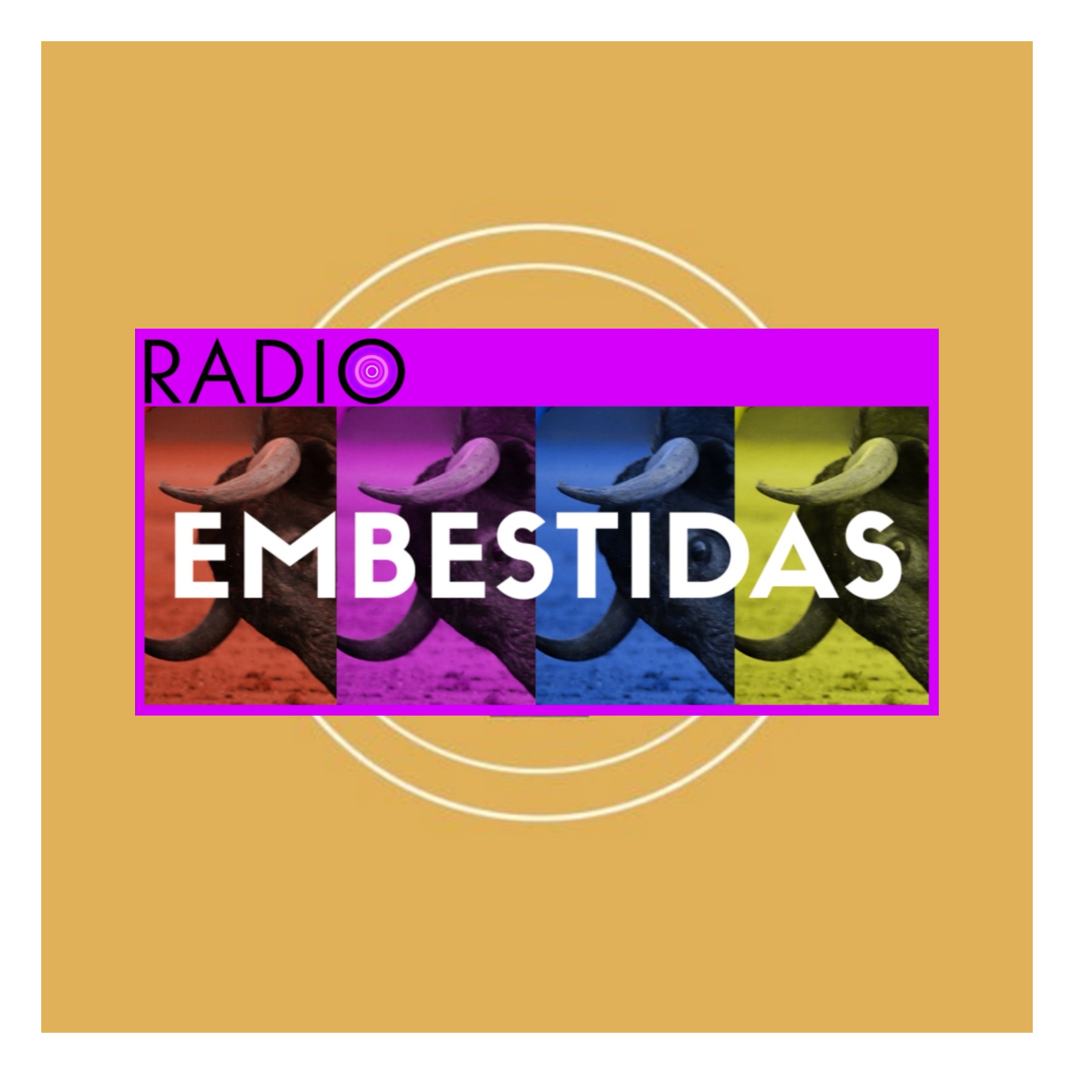 Y AHORA, ‘EMBESTIDAS’ EN SOUL RADIO – EMBESTIDAS
