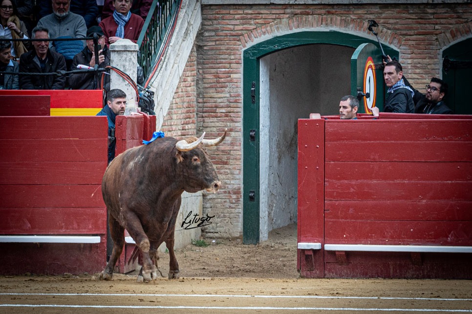 BORJA DOMECQ: «VIVIMOS UN MOMENTO MÁGICO; LA DECISIÓN JUSTA CON ...