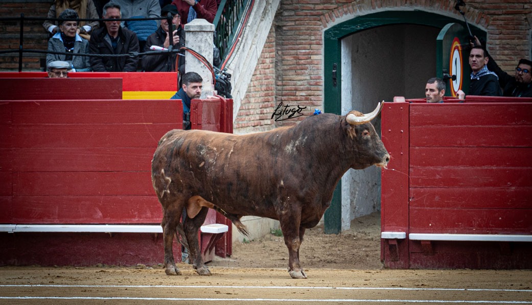 BORJA DOMECQ: «VIVIMOS UN MOMENTO MÁGICO; LA DECISIÓN JUSTA CON ...