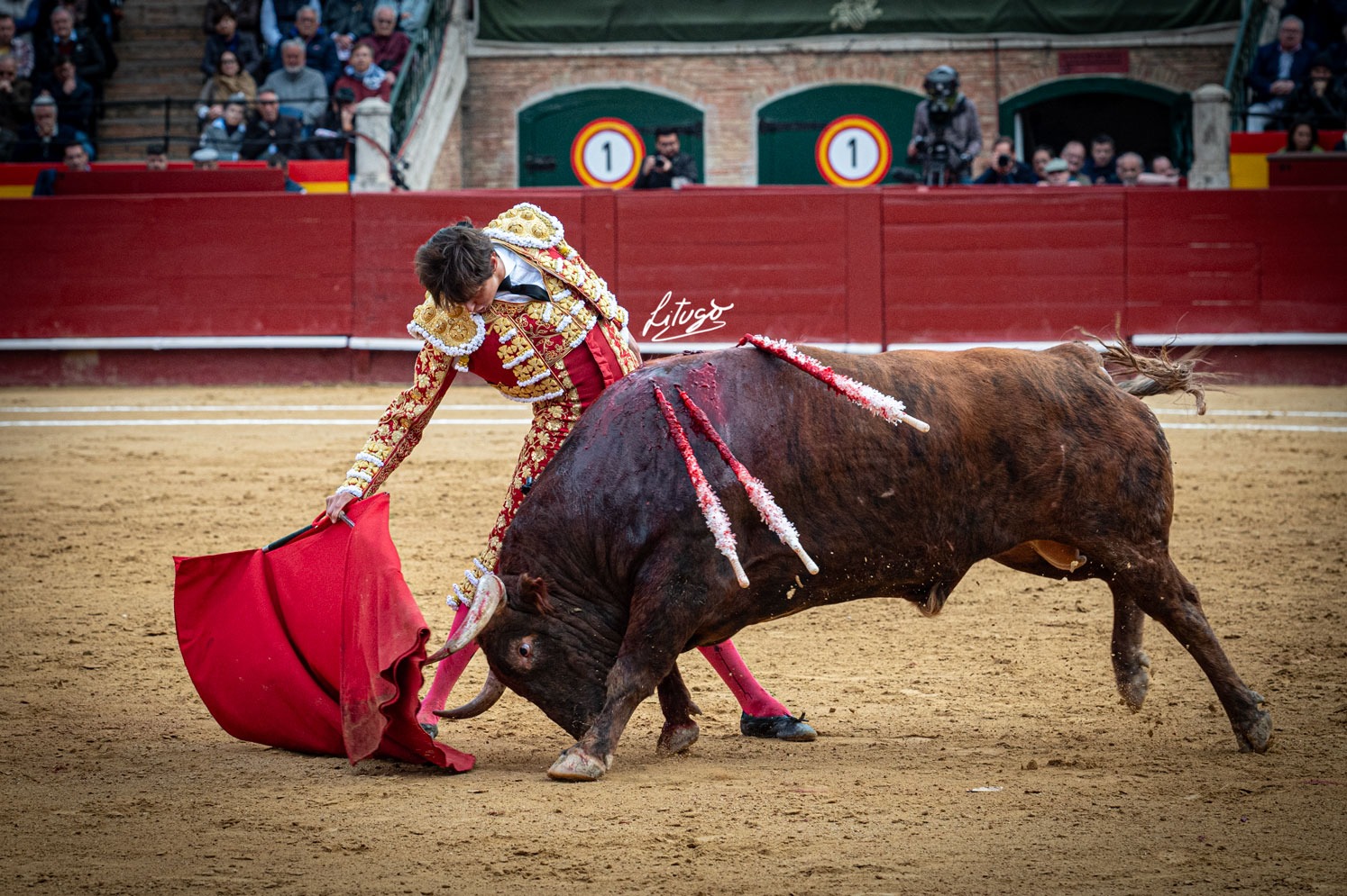 BORJA DOMECQ: «VIVIMOS UN MOMENTO MÁGICO; LA DECISIÓN JUSTA CON ...