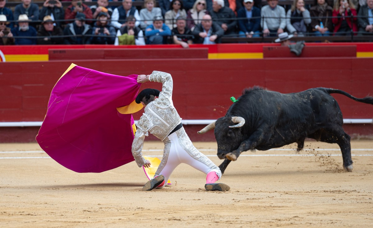 UN TROFEO PARA JAROCHO Y EL NIÑO DE LAS MONJAS PINCHA SU TRIUNFO ...